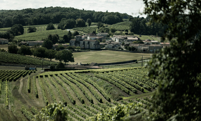 Maison Surrenne - Craft Distillers
